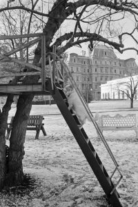 Historical Pets Who Were Great at Working from Home – The JFK Library ...